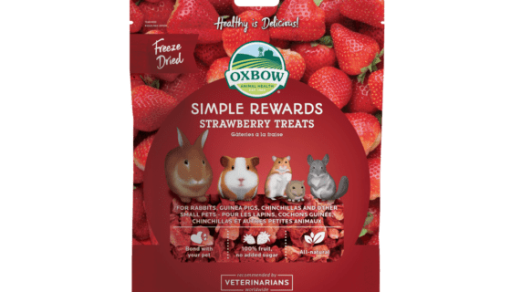 Oxbow Animal Health Simple Rewards Baked Treats with Carrot & Dill 2 o