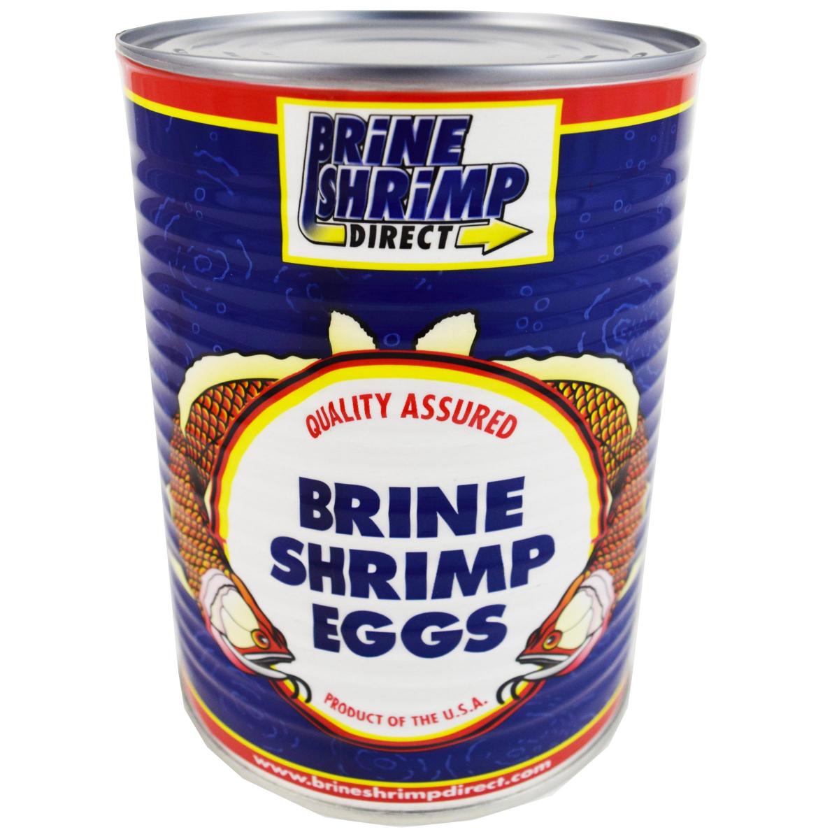 Premium Grade Brine Shrimp Eggs, 16 oz. (1lb)
