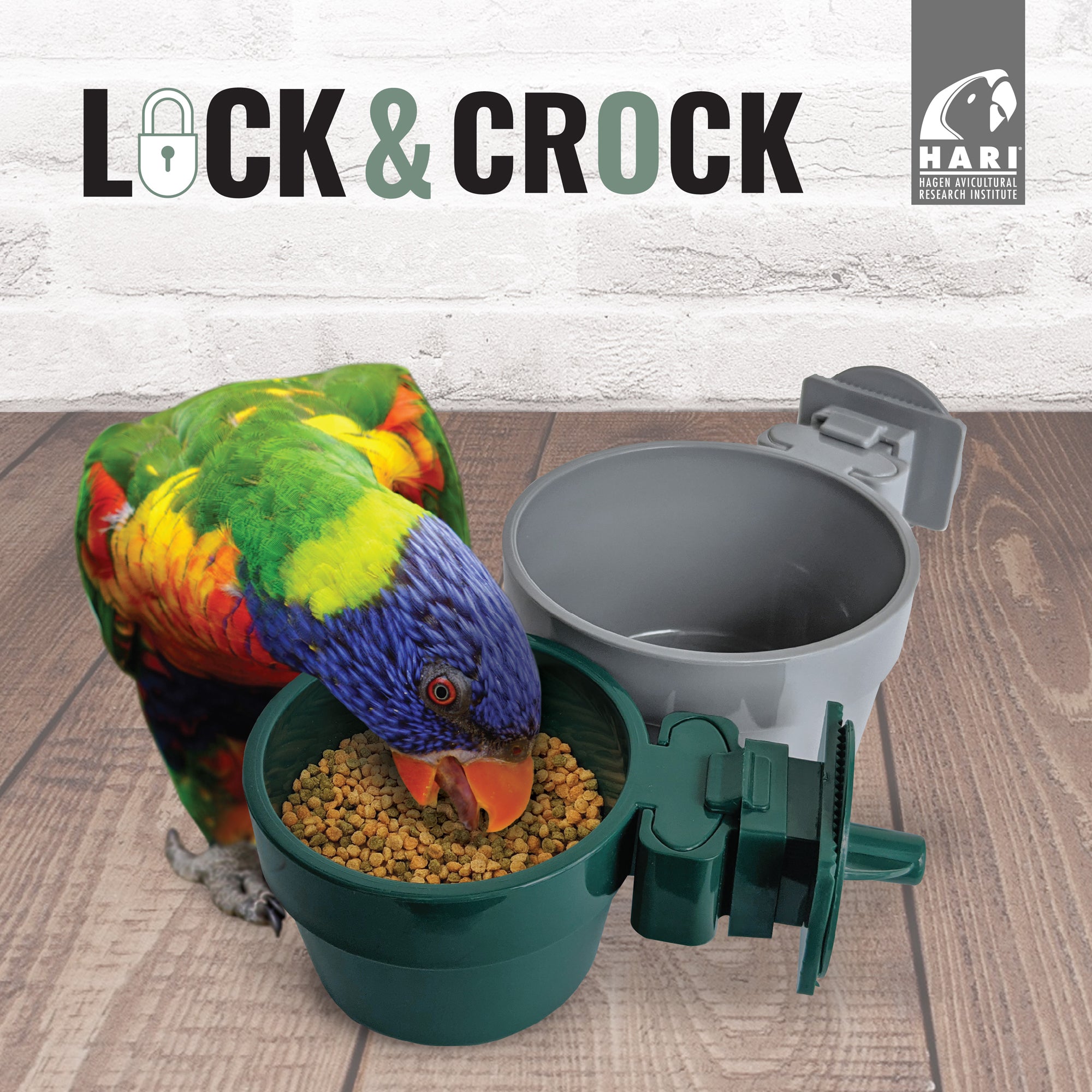 Living World Animal Lock & Crock Dish - Burgundy Plum ( 6 oz. )