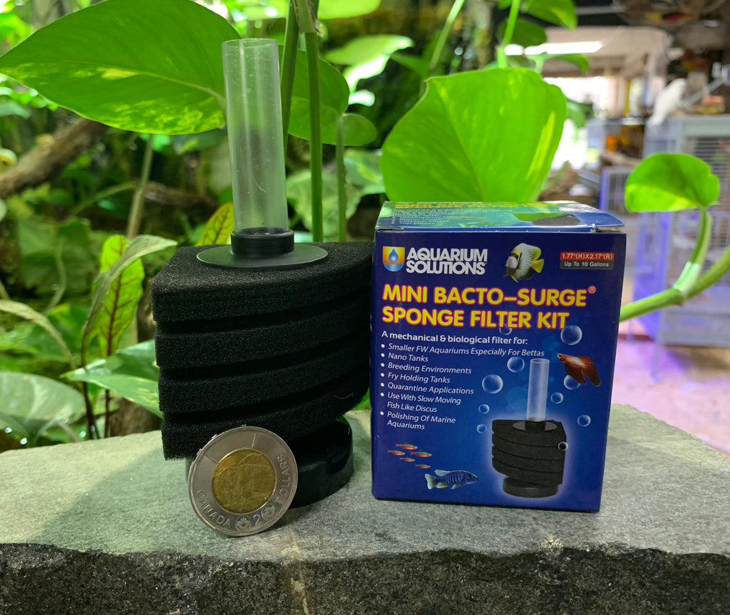 Hikari Bacto-Surge Sponge Filter Kit - Mini - Biological Filtration