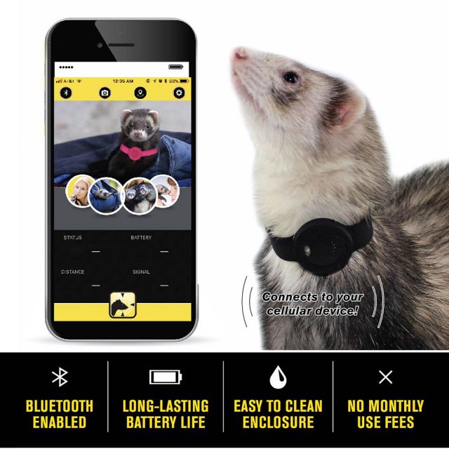 Ferret Finder Collar - WHITE - Bluetooth to your smart phone