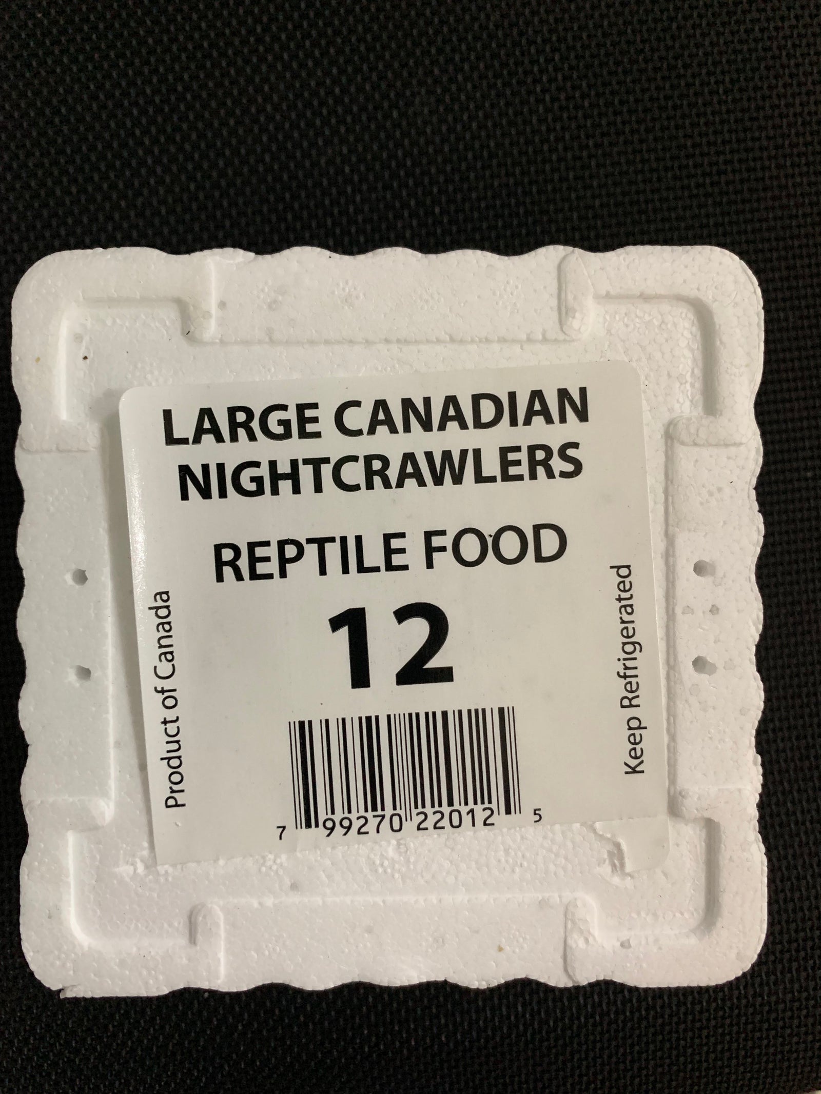 Large Canadian Nightcrawlers - Dew Worms - Dozen